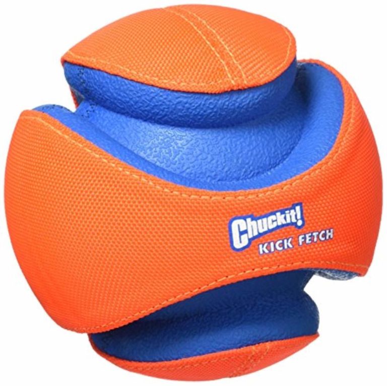 Chuckit-Kick-Fetch-Toy-Ball-for-Dogs | Dog Toys Advisor