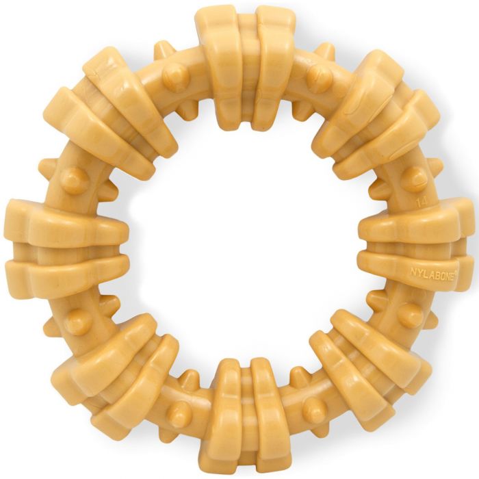 Nylabone-DuraChew-Ring-Chew-Toy | Dog Toys Advisor